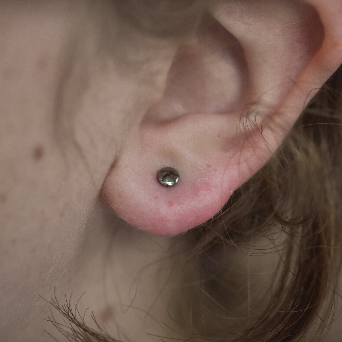 Disk Threadless End – Piercing Day Studio