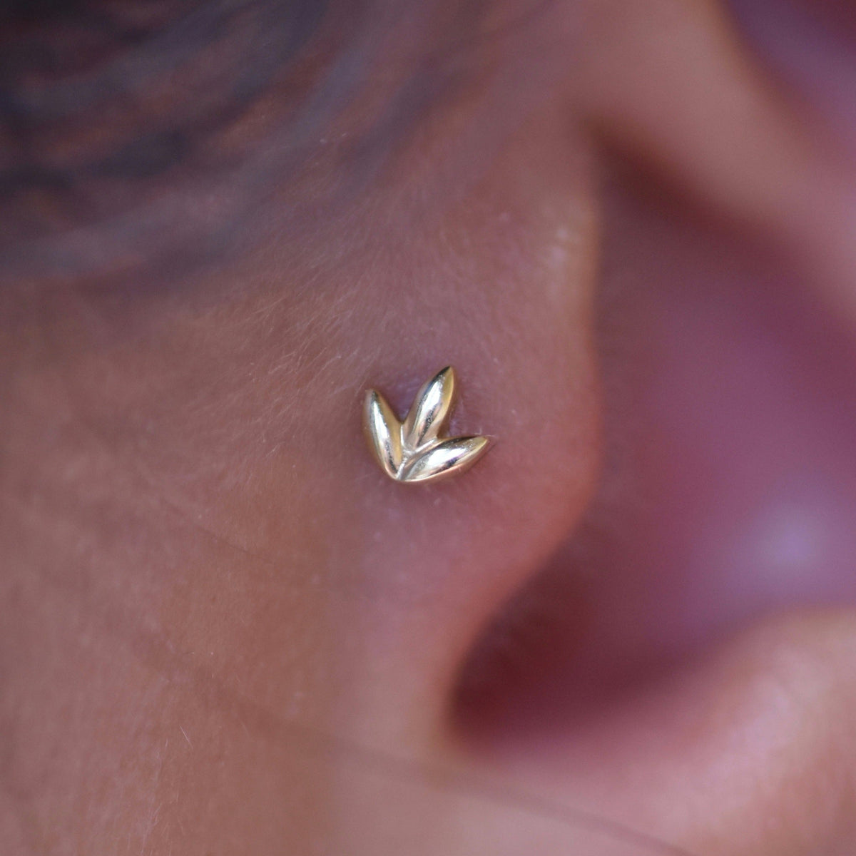 Junipurr Dr. Bloom – Piercing Day Studio